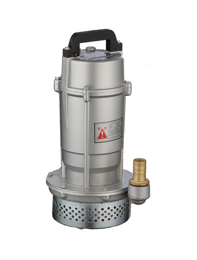 QDX 1 Inch Submersible Water Pump 1.5 Hp 1.5m3/H Submerged Sewage Pump